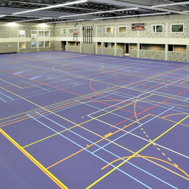 Pulastic Sports Flooring