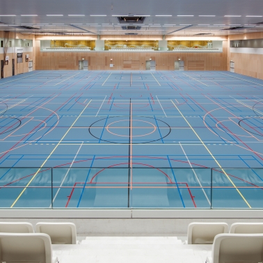 Pulastic Sports Flooring